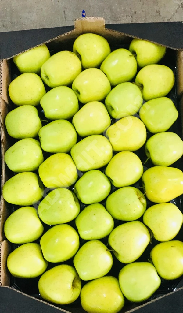Turkish green and red apples wholesale - Adwhit