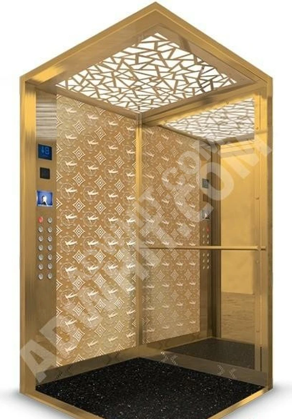FNX GROUP manufactures the most luxurious and latest types of elevators ...