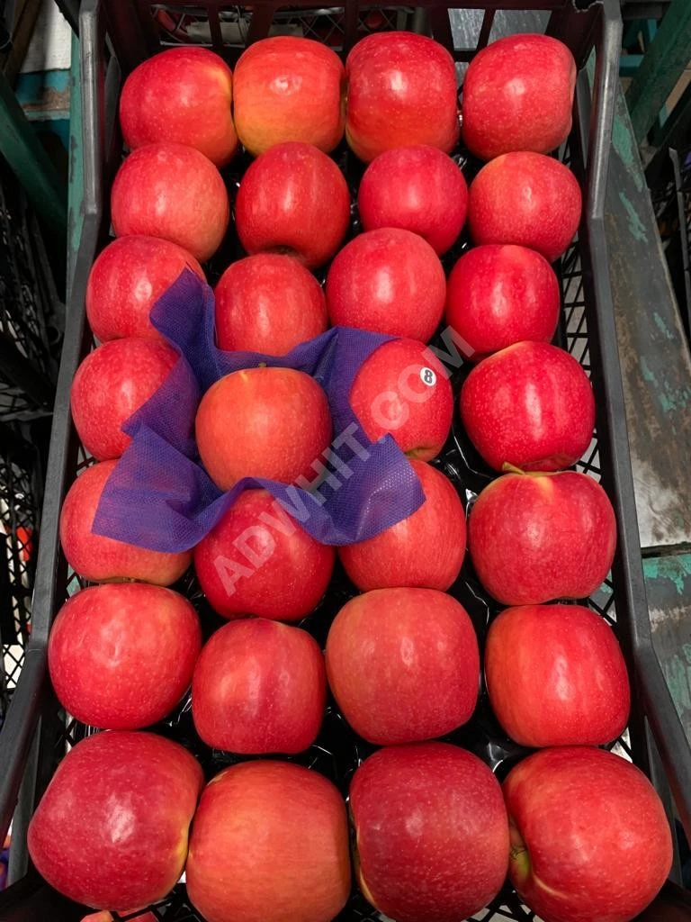Turkish green and red apples wholesale - Price : 8 Turkish Lira ...