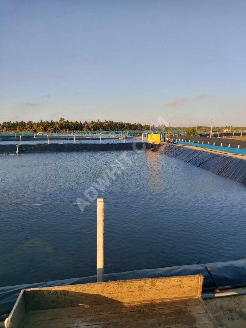 waterstop, hdpe ,pvc , geotextile - Adwhit